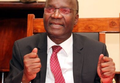 Jonathan Moyo has dismissed rumours that he quietly returned to ...