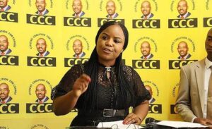 Mahere faces, yet another $100,000 defamation lawsuit from TinMac ...