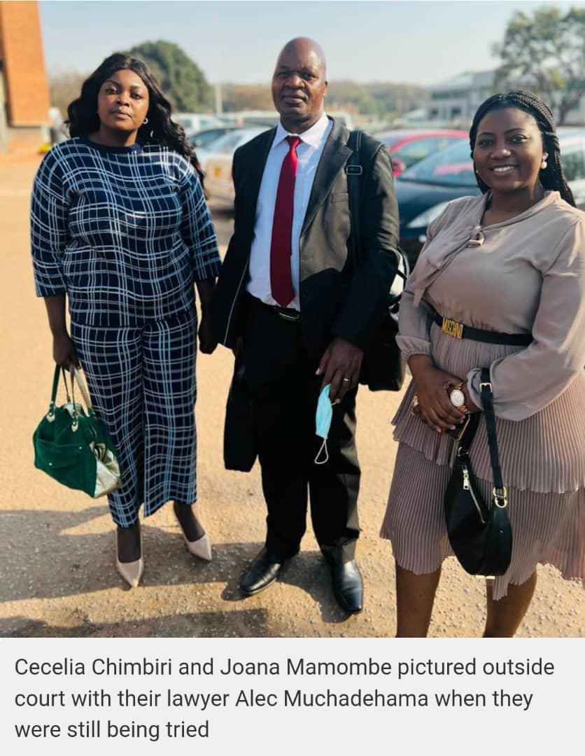High Court acquits Mamombe, Chimbiri – The Observer Zim