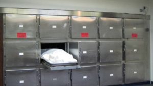 Mortuary work, the new ‘saviour’ for unemployed youths – The Observer Zim