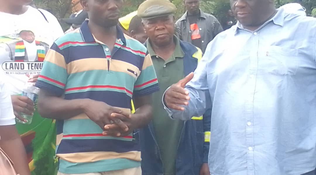 Tobacco Farming Takes Center Stage in Macheke – The Observer Zim